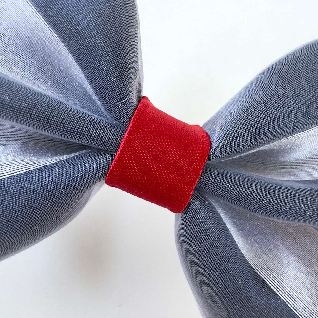 Premium Pet Fashion for Groomers – Pets Ribbons