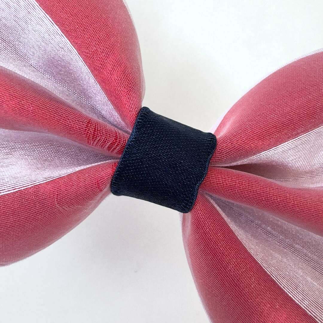 Premium Pet Fashion for Groomers – Pets Ribbons